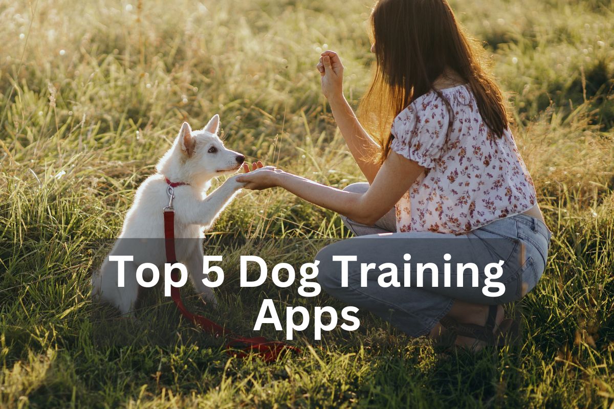 Top 5 Best Dog Training Apps in 2025
